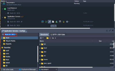 Container Configuration - UKHost4U